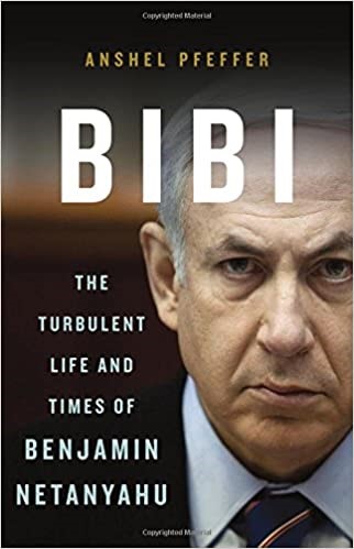 Book Review: Bibi – Global South Studies Series